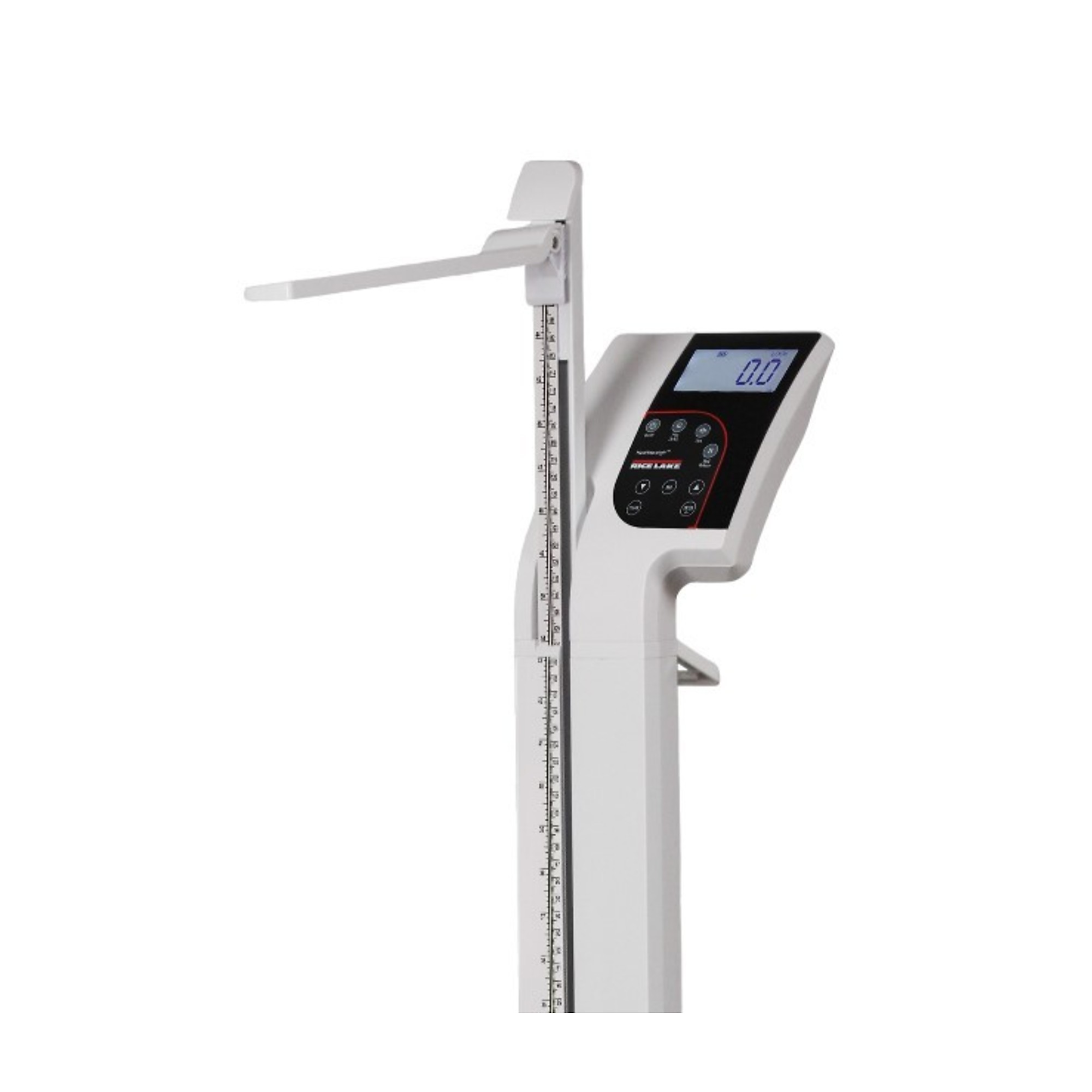 Rice Lake, Physician Scale(Eye level), 550lb x .2lb, Capacity 550 lb ...