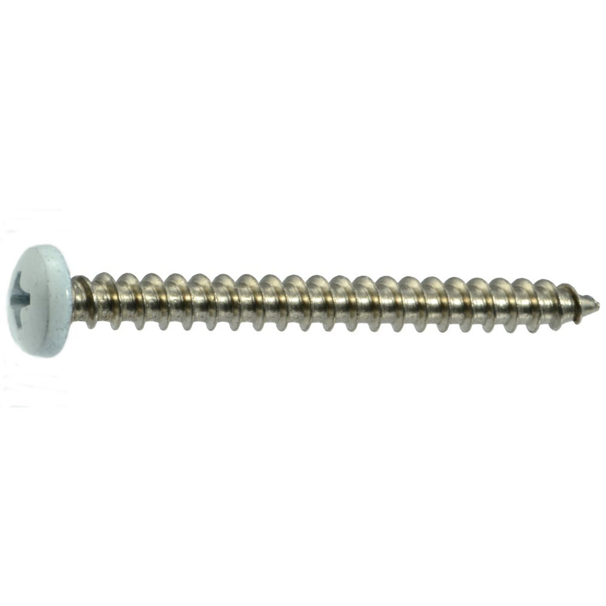 Midwest Fastener White Phillips Pan Head Sheet Metal Screws - #10 x 2in ...