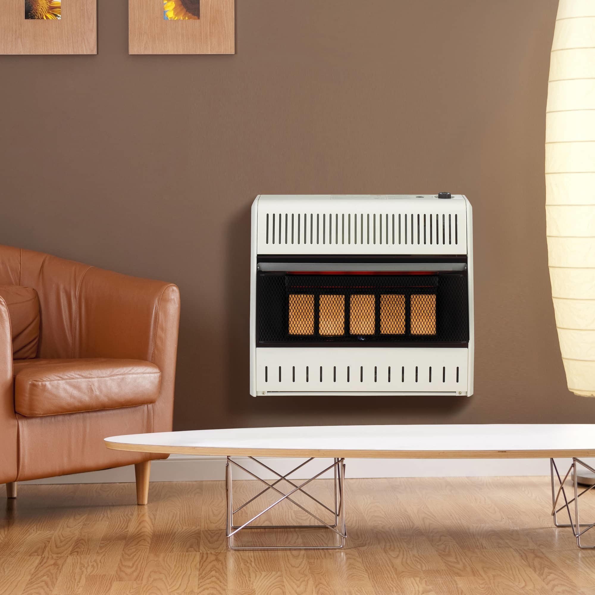 Bluegrass Living, LP Infrared Plaque Heater - 25000 BTU, T-Stat -, Heat ...