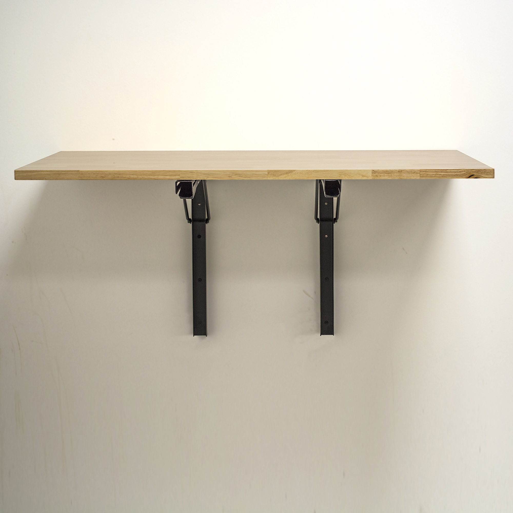 Sportsman Series Wall Mounted Folding Workbench Width 38 in Depth 1 in Height 1 in Model WMFW Northern Tool