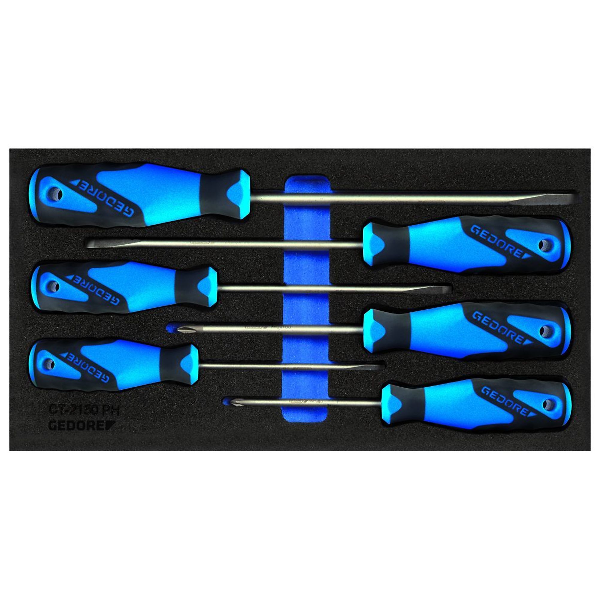 Gedore, Screwdriver set in 1/3 Check-Tool module, Drive Type ...