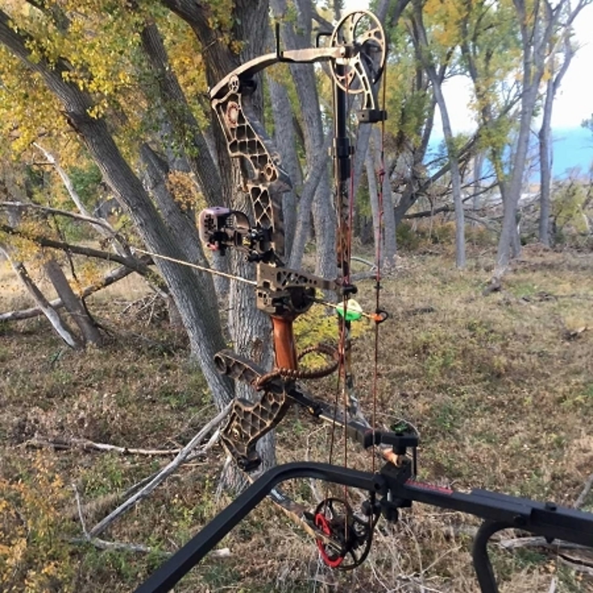 Hornet Outdoors, Tree Stand Bow Hanger, Capacity 15 Color Black ...