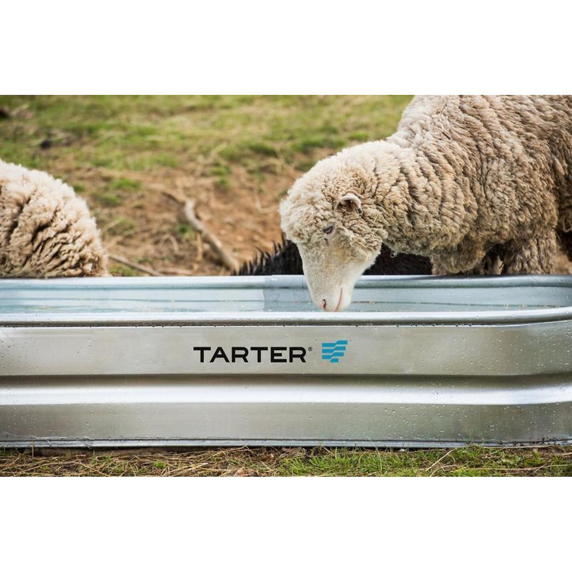 Tarter, Oval Dura 70 Stock Tank, Galvanized Steel, 70Gal, Model# WT216 ...