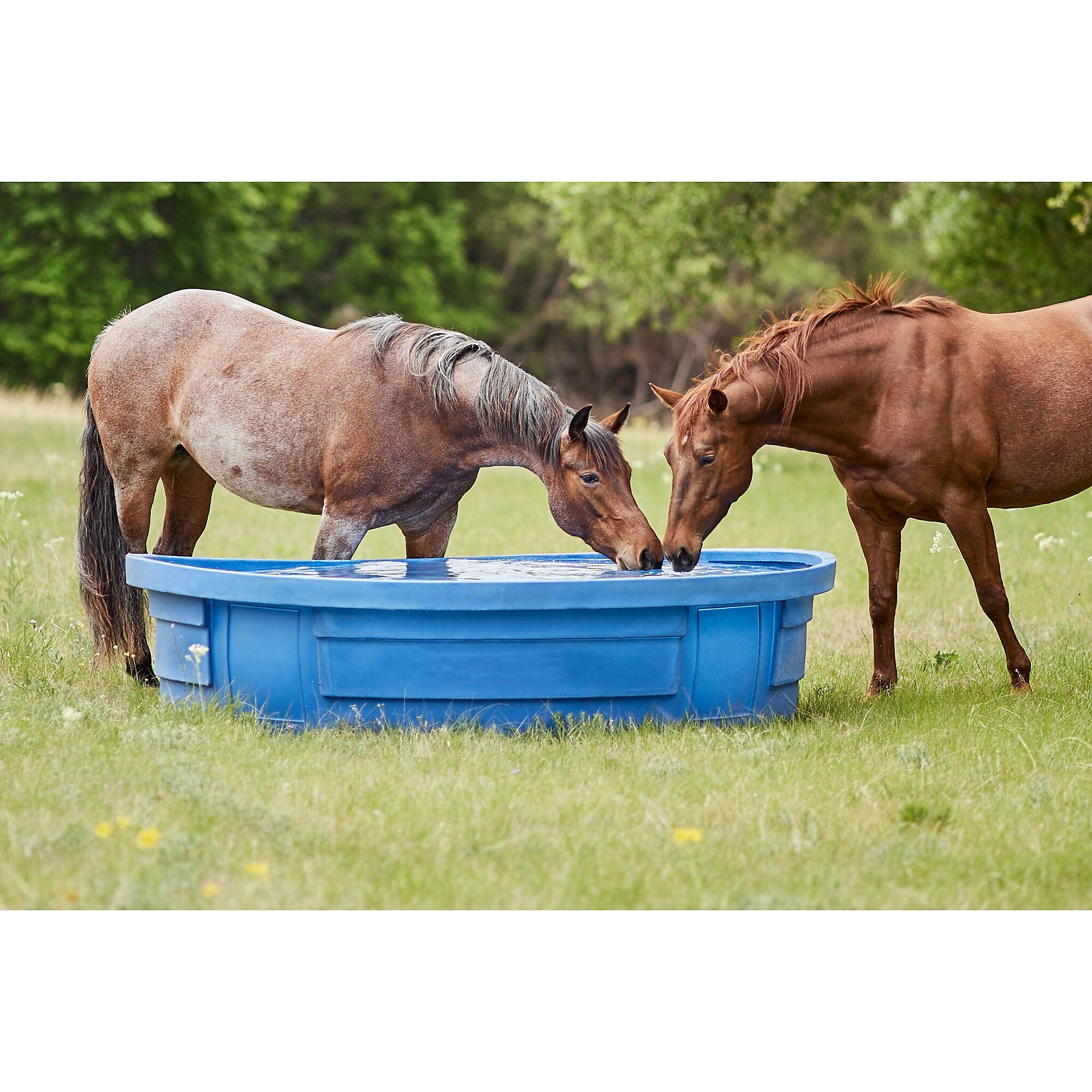 Tarter, Big Blue Poly Round Tank, 8ft.x2ft., Model# WTP82 | Northern Tool