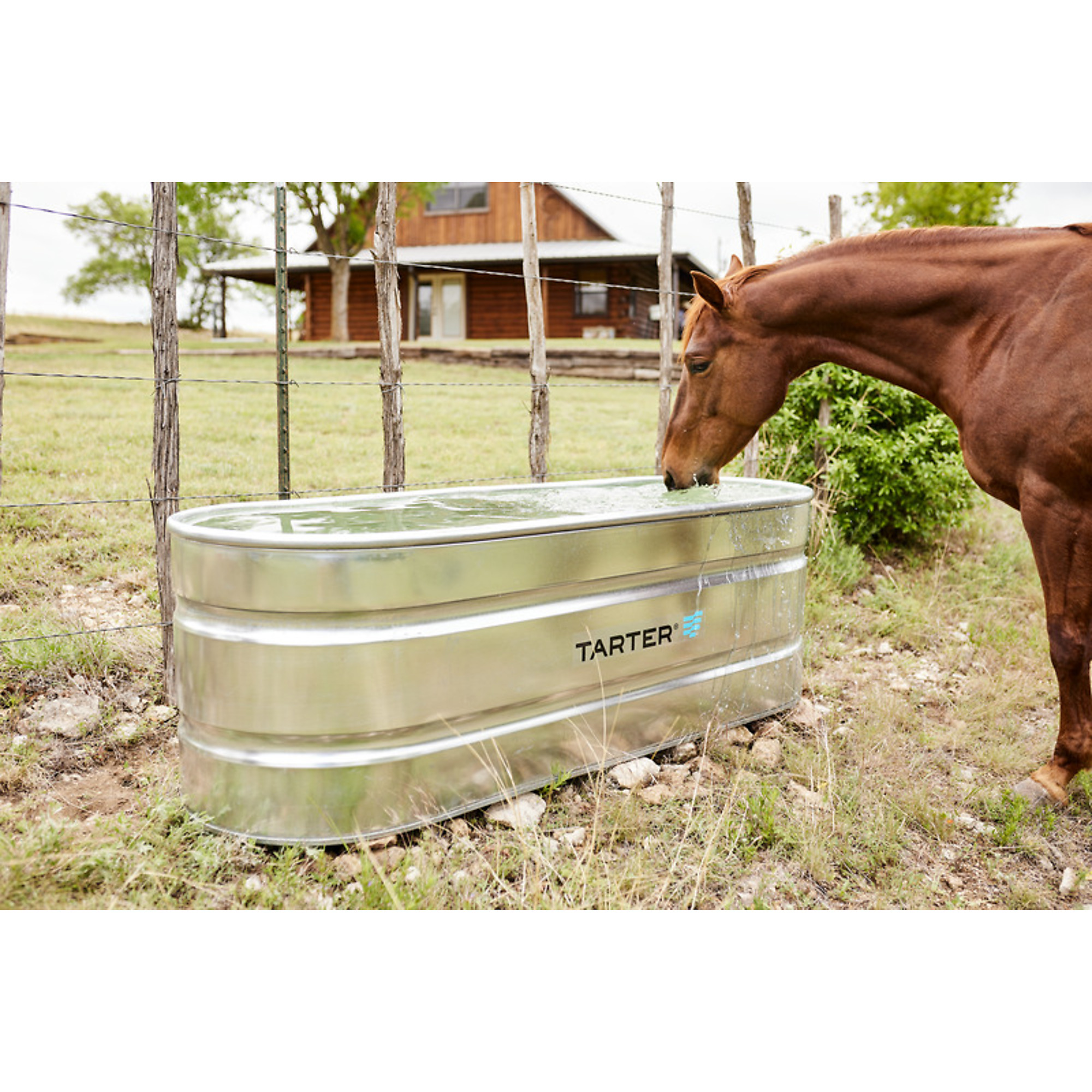 Tarter Oval Ultra 170-Gallon Stock Tank, Model# WT226 | Northern Tool