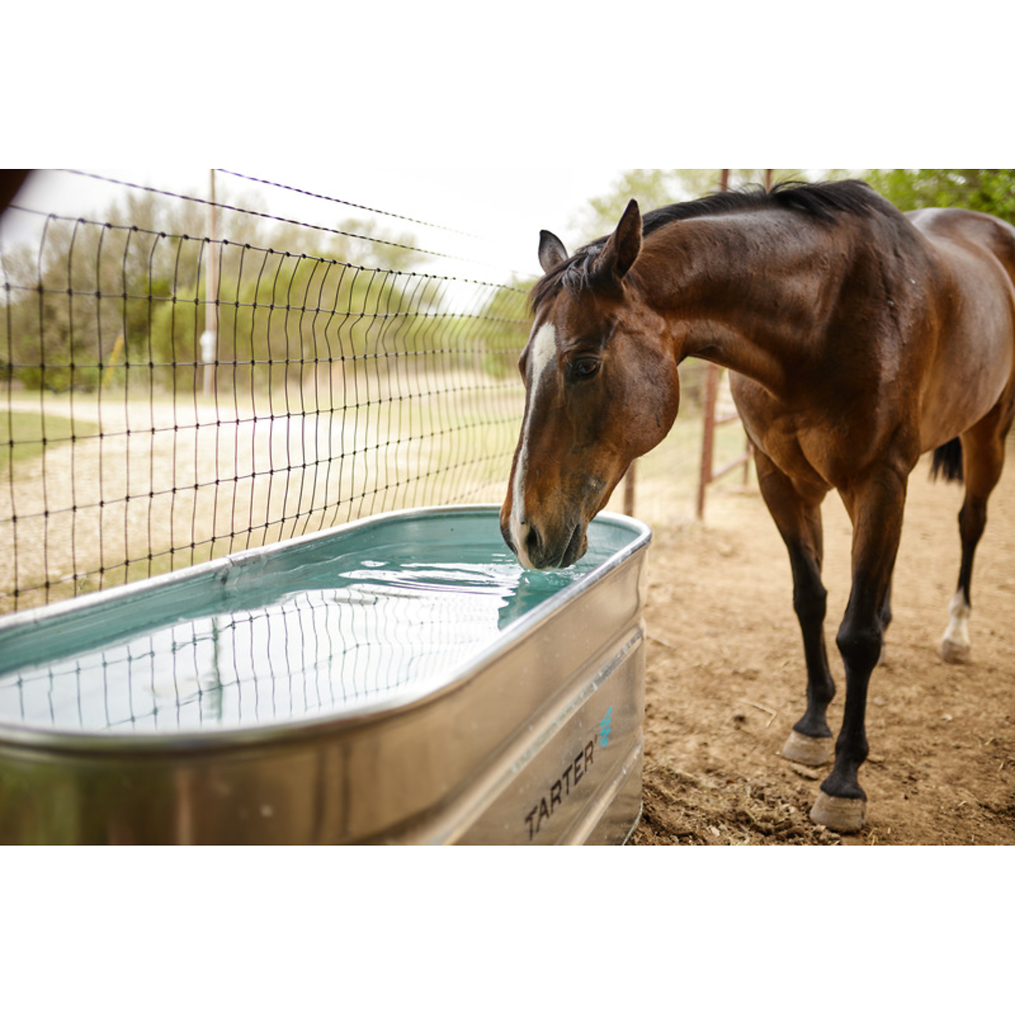 Tarter Oval Ultra 125-Gallon Stock Tank, Model# WT225 | Northern Tool