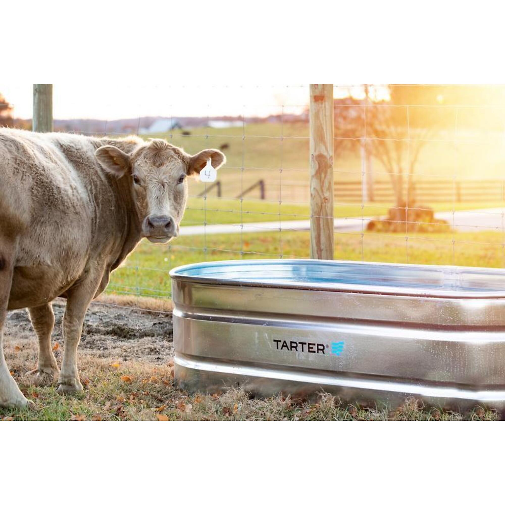 Tarter Oval Mega 300-Gallon Stock Tank, Model# WT328 | Northern Tool