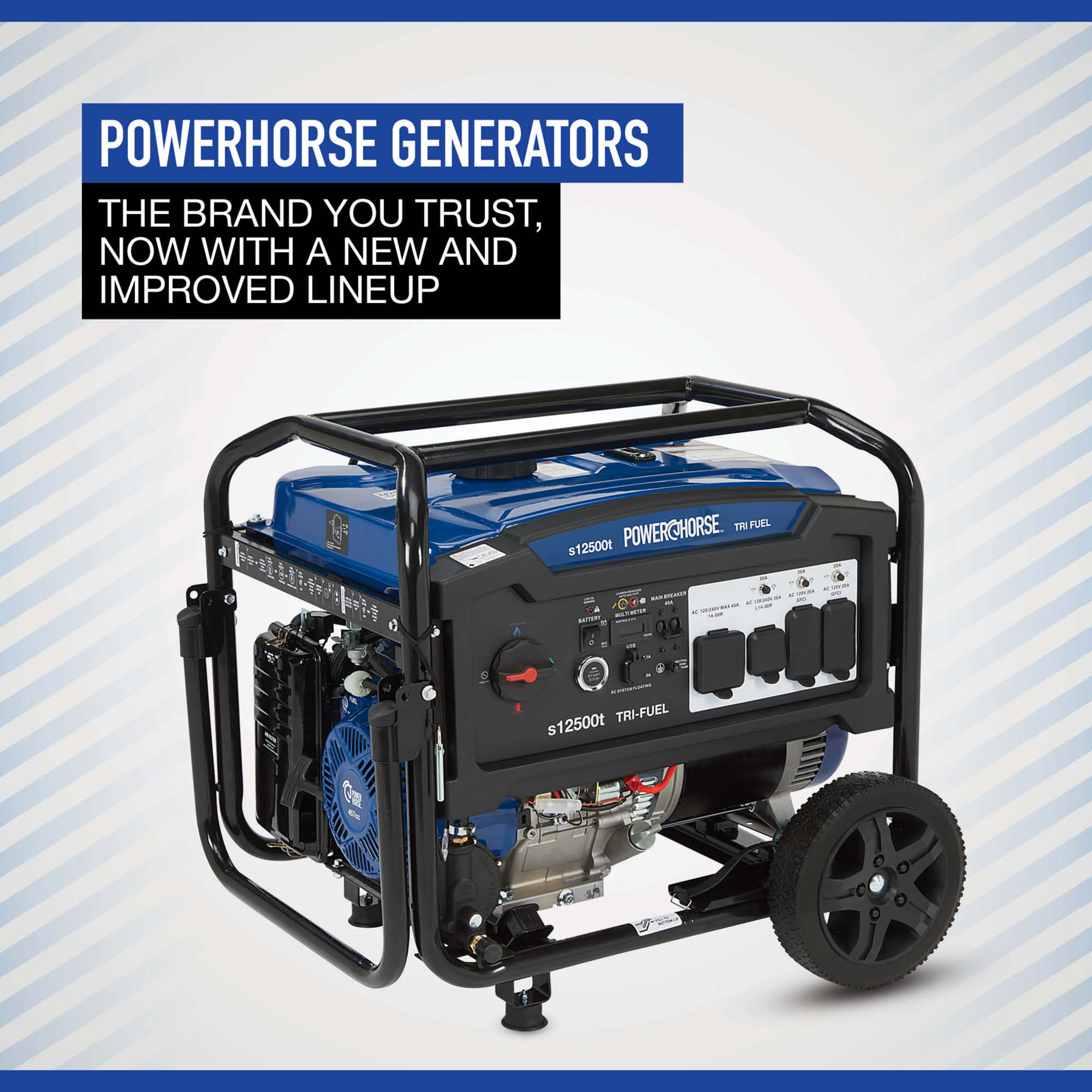 Powerhorse Portable Tri-Fuel Generator with Electric Start, 12,500 ...