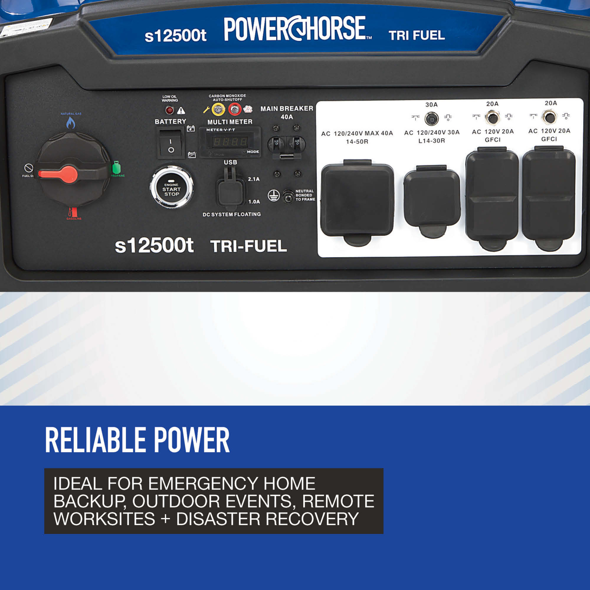 Powerhorse Portable Tri-Fuel Generator with Electric Start, 12,500 ...