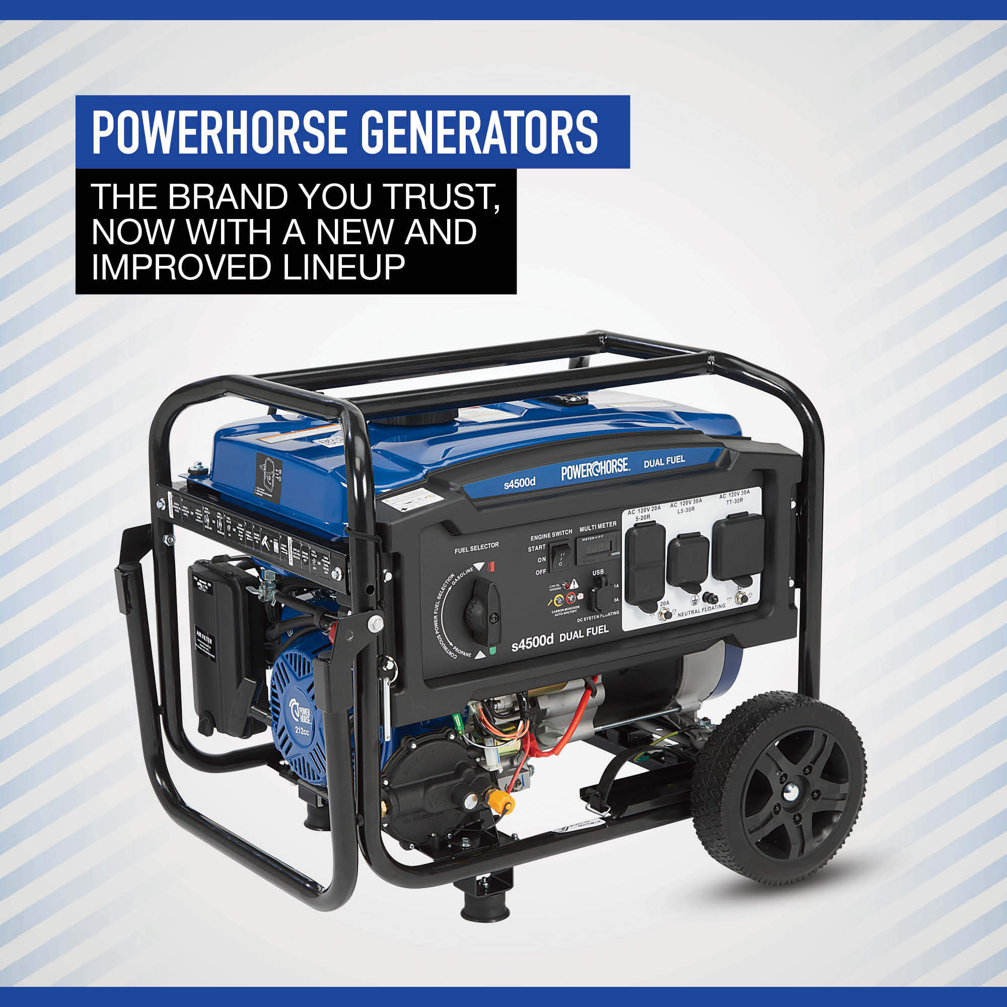 Powerhorse Portable Dual Fuel Generator, 3600 Rated Watts, 4500 Surge ...