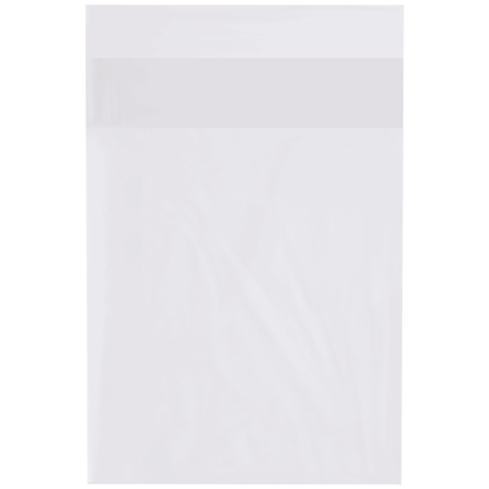 14 x 18in. - 2 Mil Flap Lock Poly Bags 1000/CS, Model# PBFL141802 ...