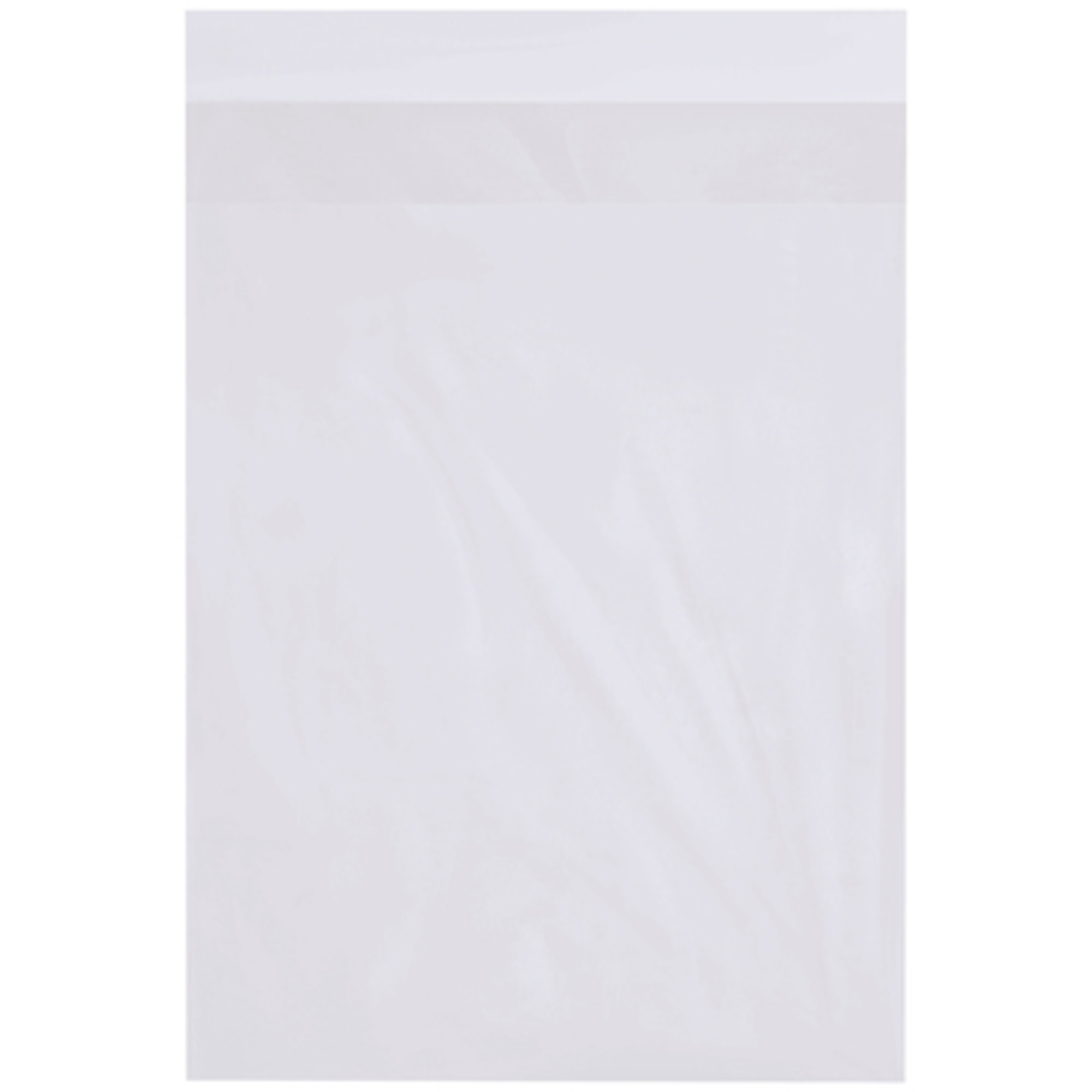 18 x 24in. - 2 Mil Flap Lock Poly Bags 500/CS, Model# PBFL182402 ...