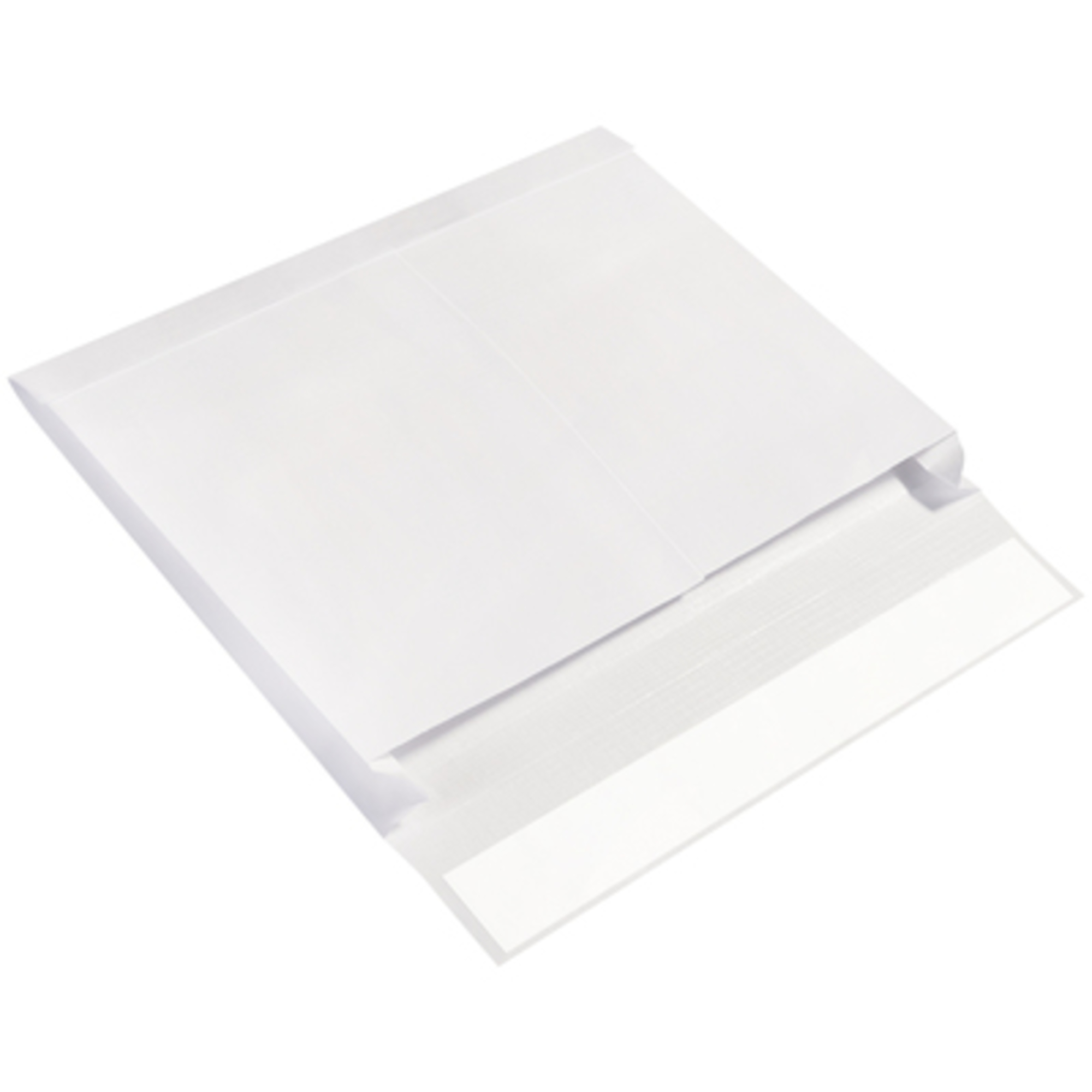 10 x 15 x 2in. Expable Ship-Lite Envelopes 100/CS, Length 15 in, Model ...