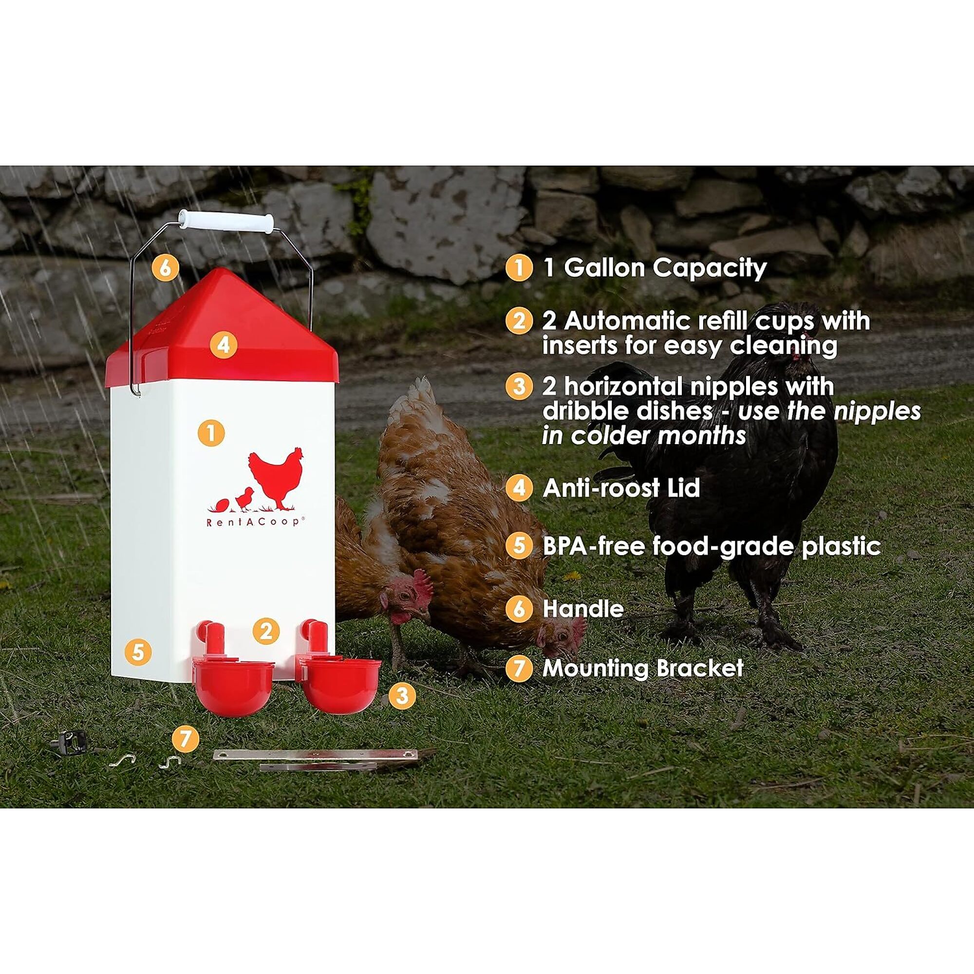 RentACoop, 5 Lb Chick2Chicken Port Feeder 1 Gal Waterer Set, with ...