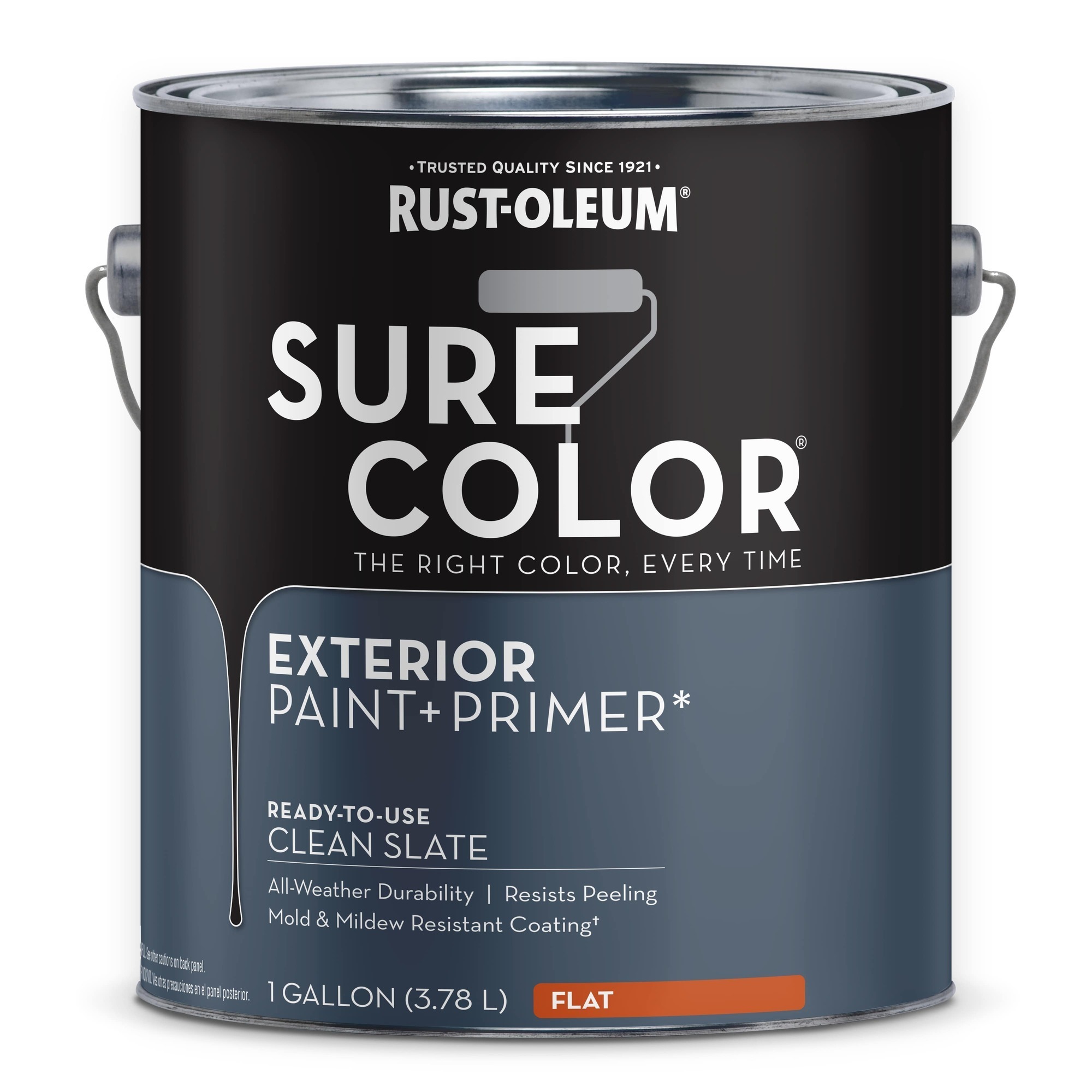 Rust-oleum, Sure Color Exterior Paint, Clean Slate,Flat,1G,2PK ...