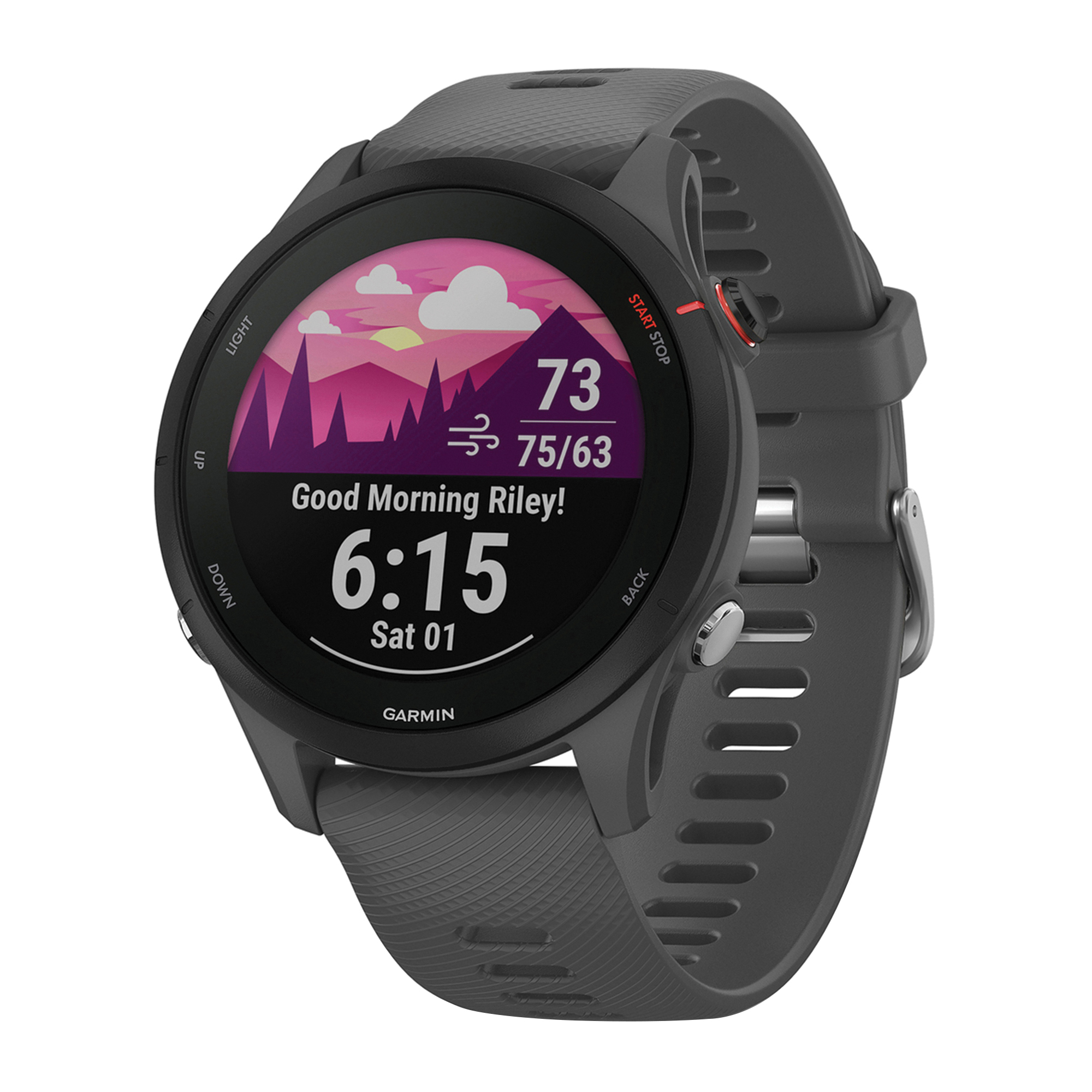 Garmin Forerunner 255 Running Smartwatch with Slate Gray Case ...
