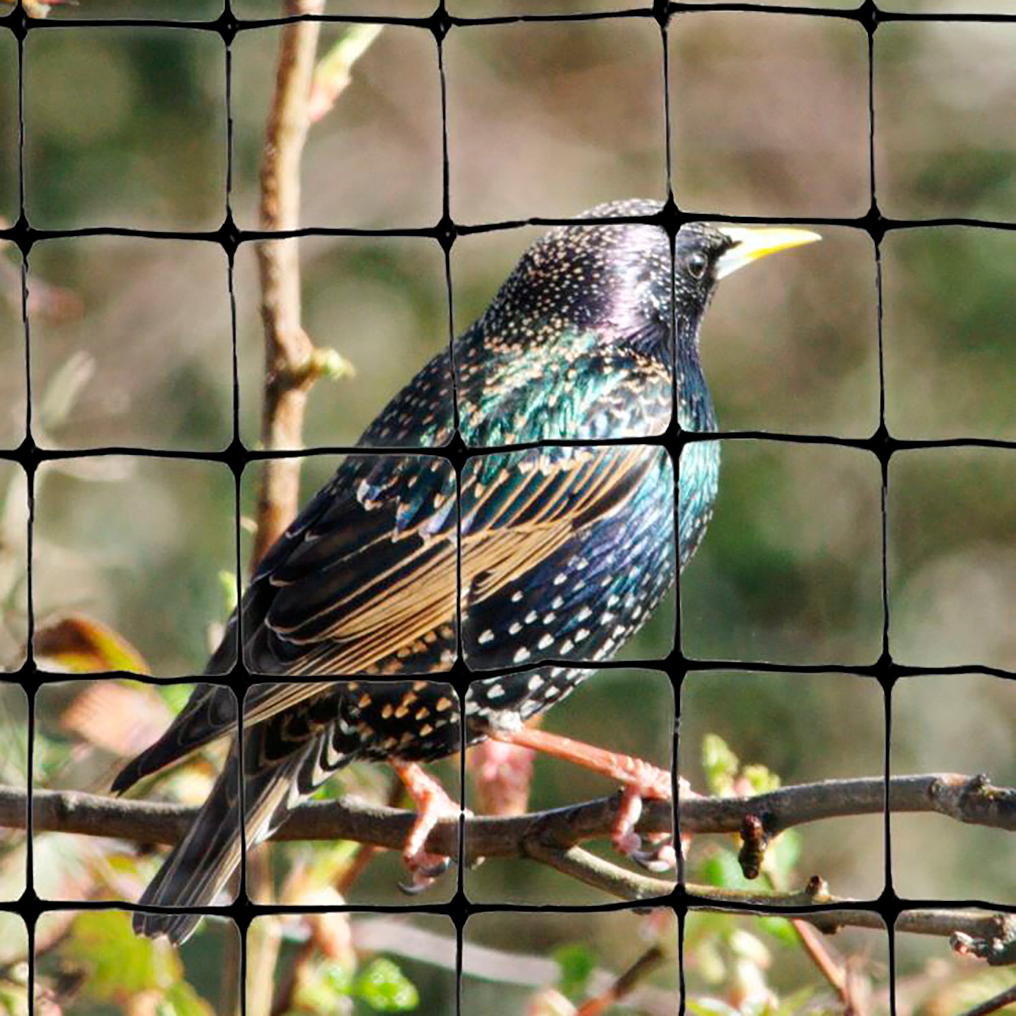 Bird-X Poly Bird Netting — 14Ft. x 100Ft., Model# NET-STD-100-14 ...