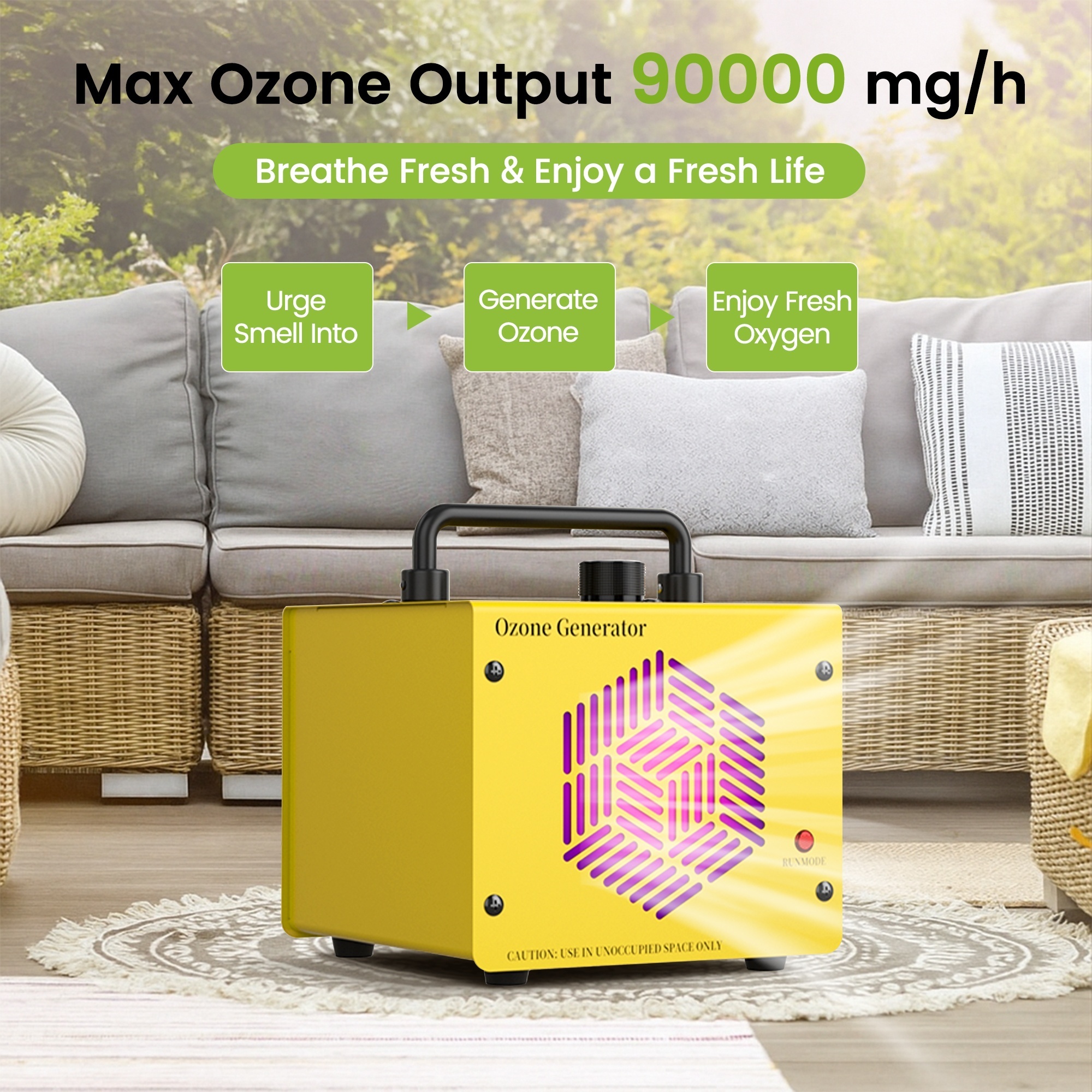 EdenDirect 10,000 sq. ft. Ozone Generator, 90,000mg High Capacity ...