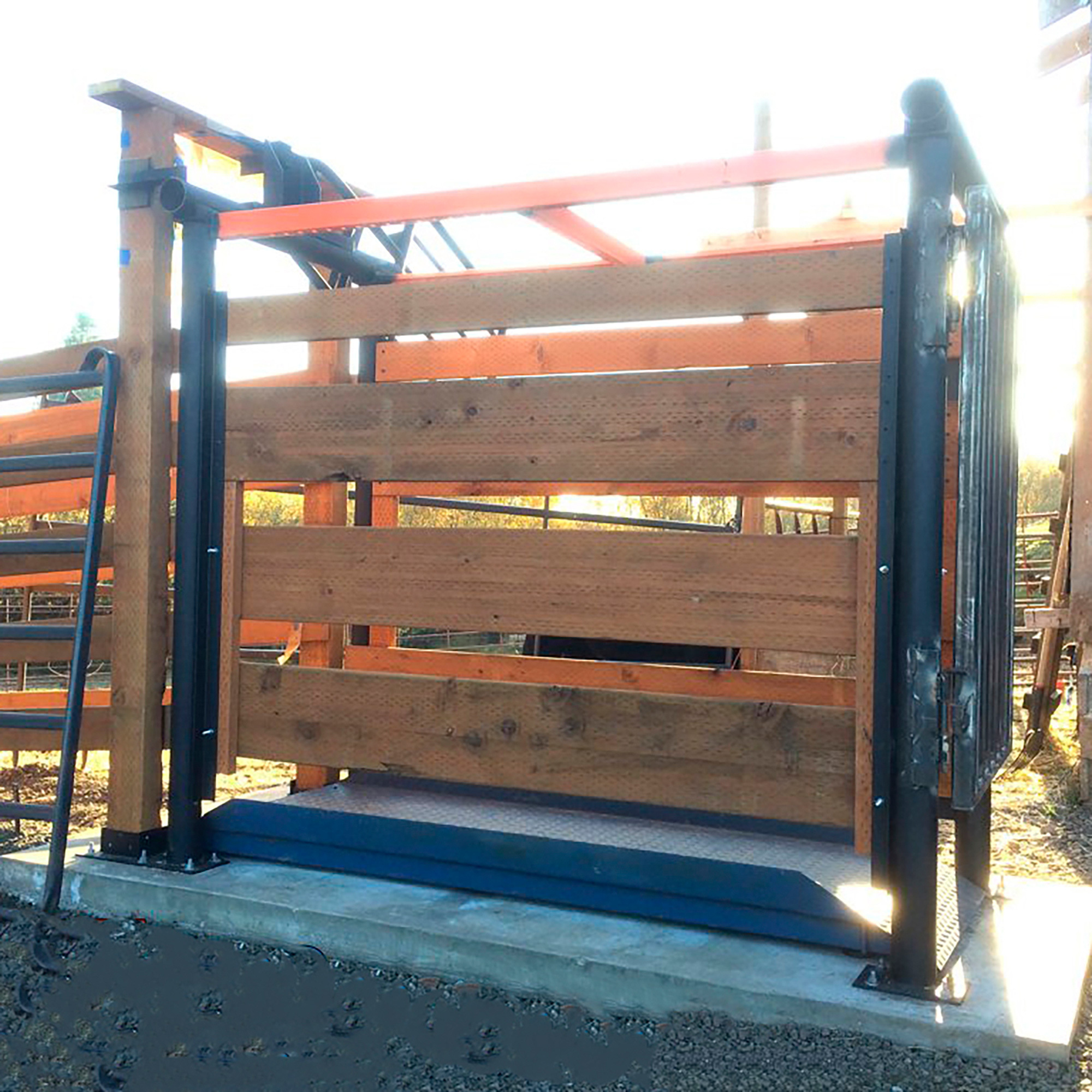 Optima Scale Single Cattle Scale — 5000-Lb. Capacity, 1-Lb. Display ...