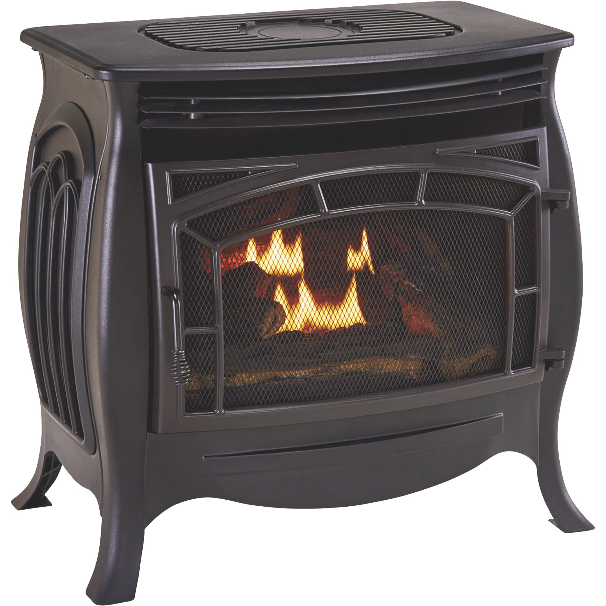 Bluegrass Living Vent-Free Dual Fuel Gas Stove with Remote Control ...