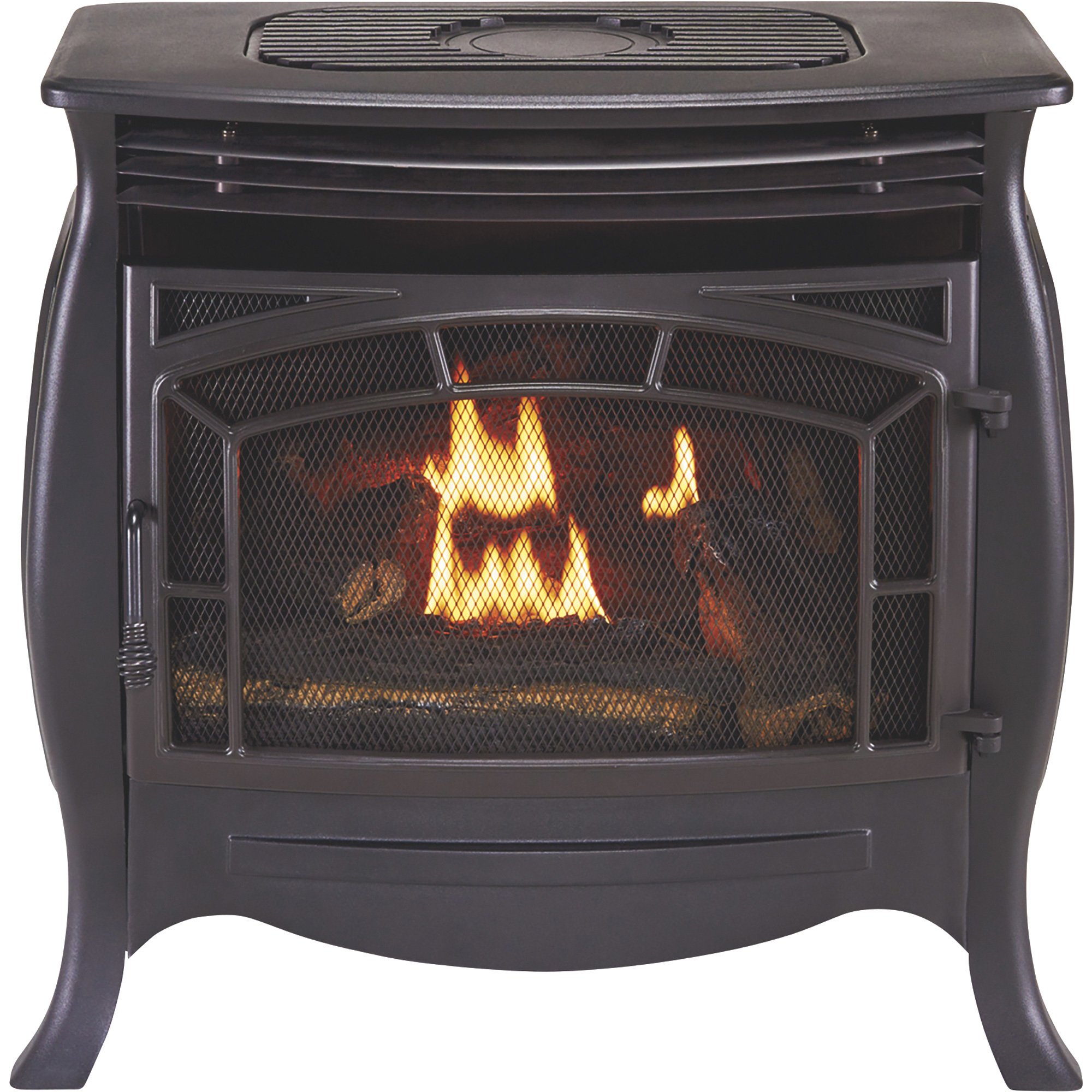 Bluegrass Living Vent-Free Dual Fuel Gas Stove with Remote Control ...