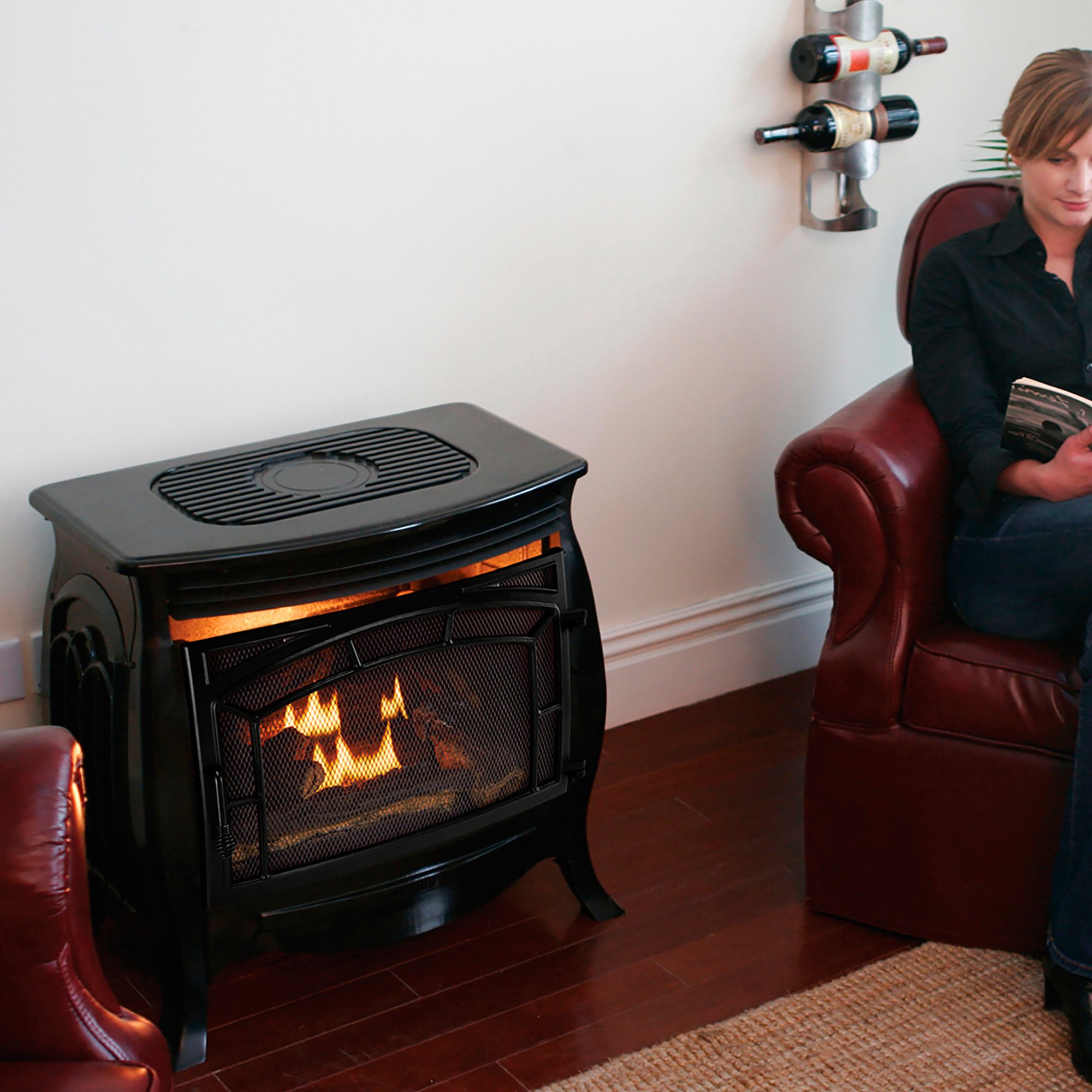 Bluegrass Living Vent-Free Dual Fuel Gas Stove with Remote Control ...